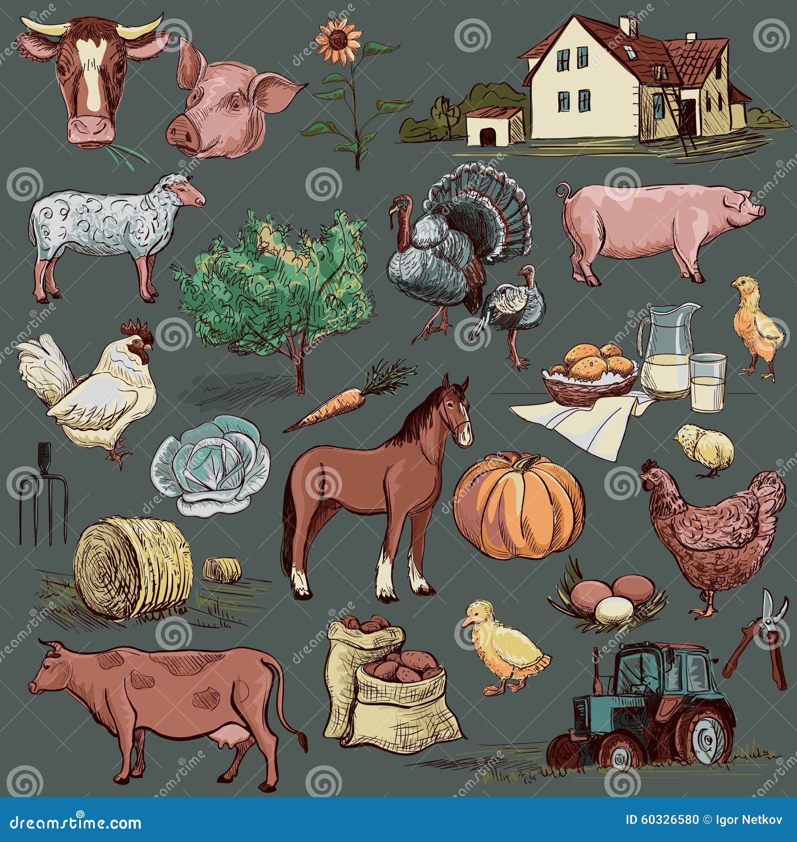Original Hand Drawn Farm Collection Stock Vector - Illustration of ...