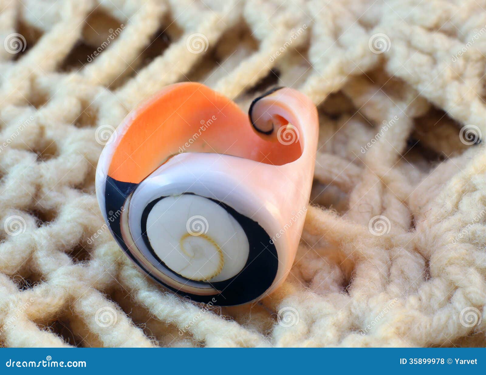 Original Handmade Ring of Sea Shell Stock Photo - Image of mollusk ...