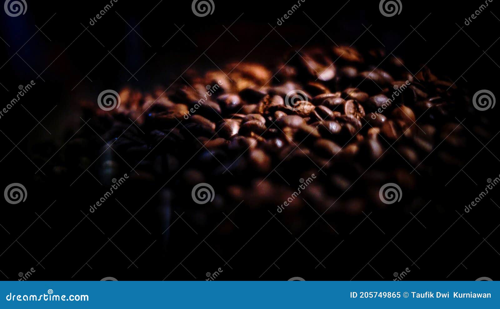 Original Indonesian Arabica Coffee Beans Stock Image - Image of arabica ...
