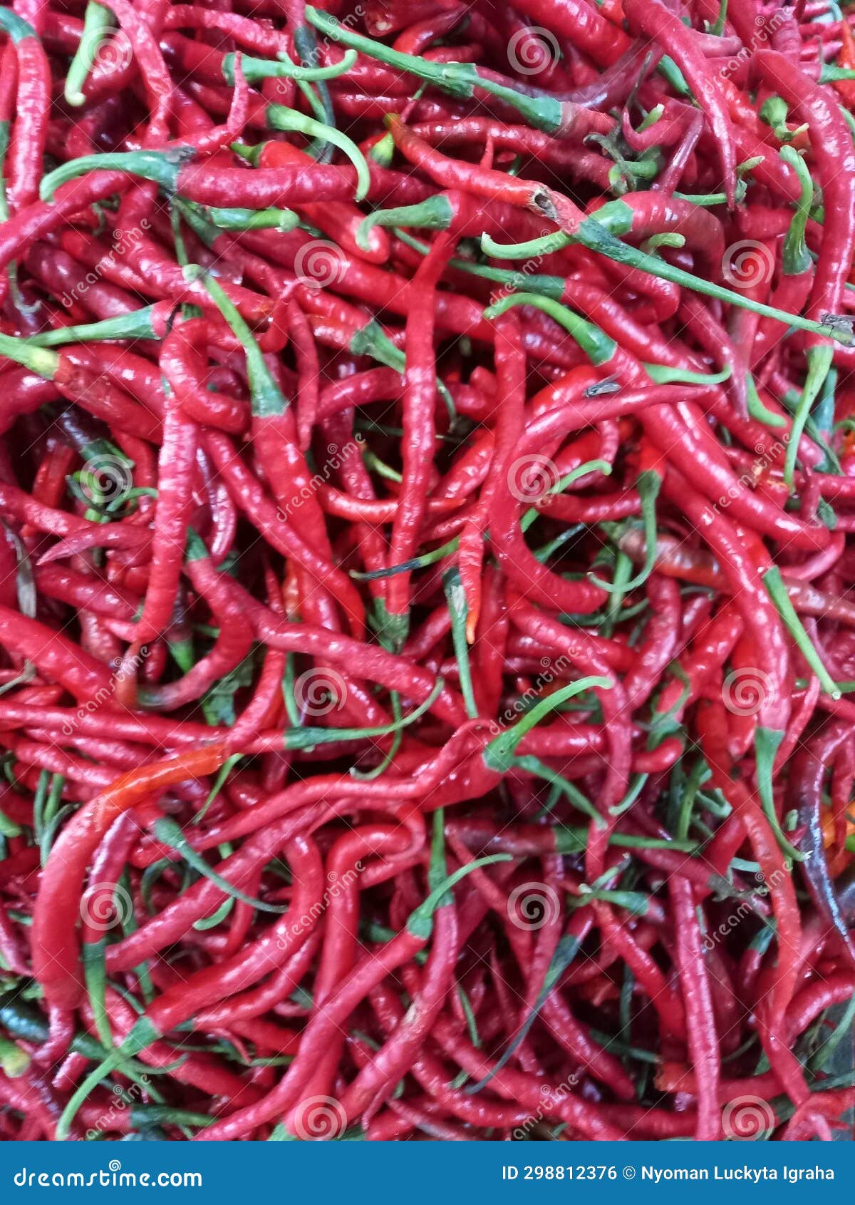 ORIGINAL INDONESIAN FRESH CURLY RED CHILLI. Stock Photo - Image of ...