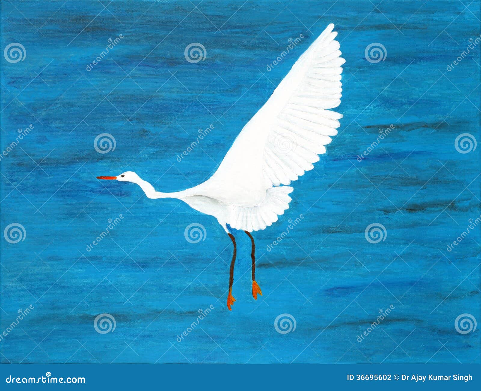 Bagula Picture Photos - Free & Royalty-Free Stock Photos from Dreamstime