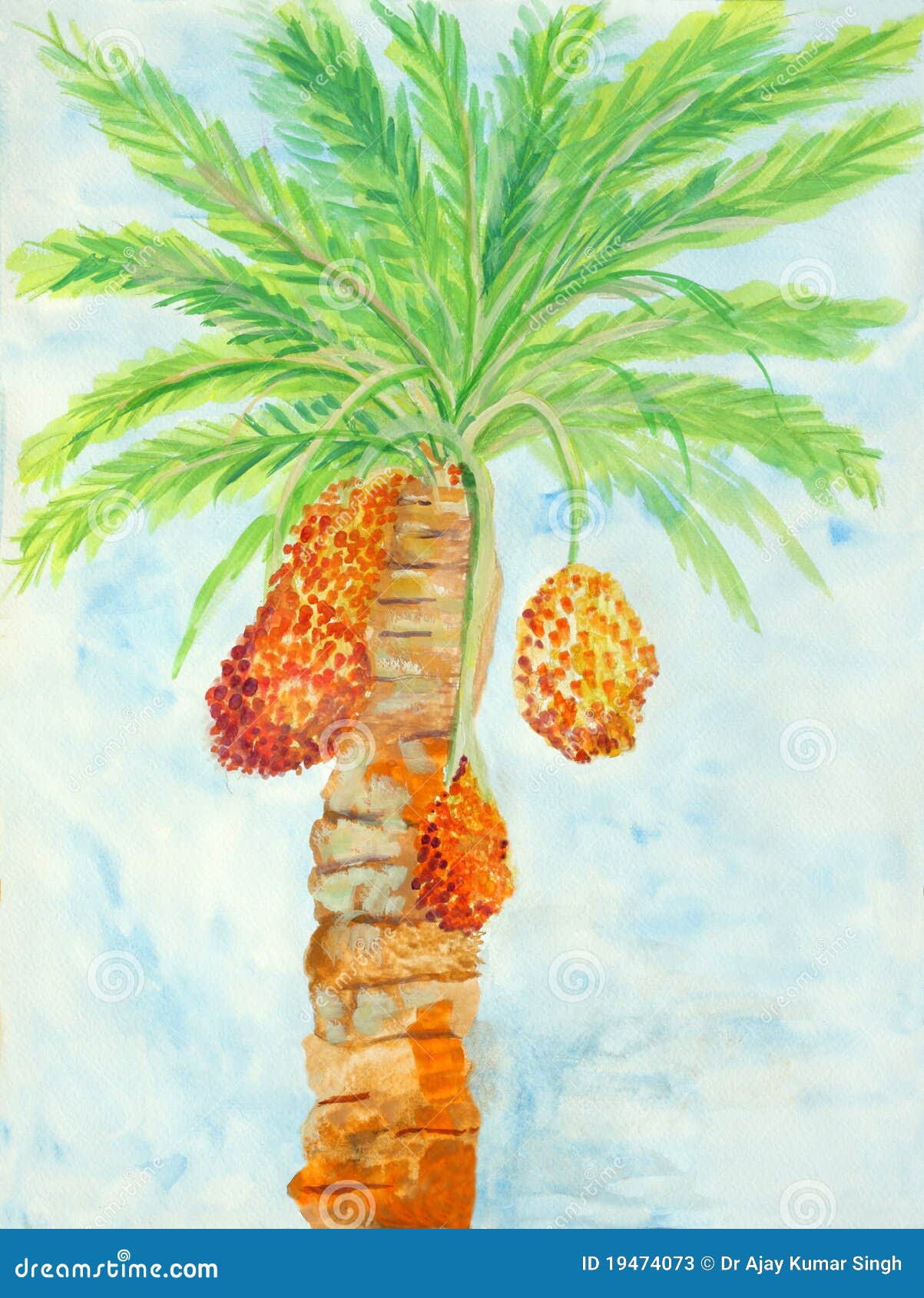 Ripen Cartoons, Illustrations & Vector Stock Images - 2283 Pictures to ...