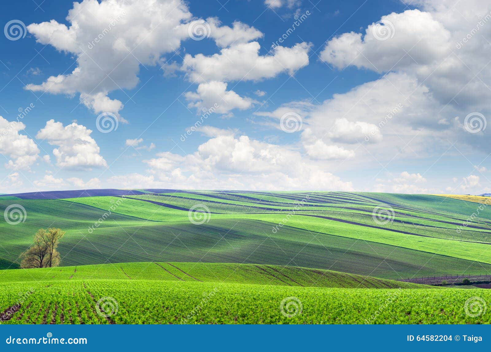 Original Panoramic View of Fields in Beautiful Rolling and Strip Stock ...