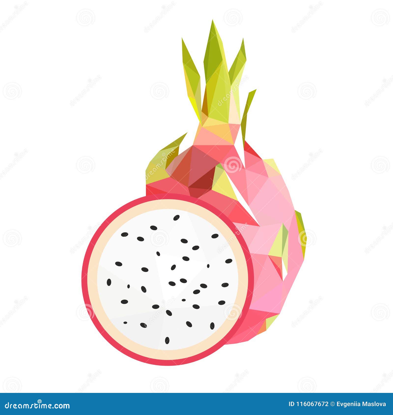 Original Pitaya Vector Fruit Stock Illustration - Illustration of fruit ...