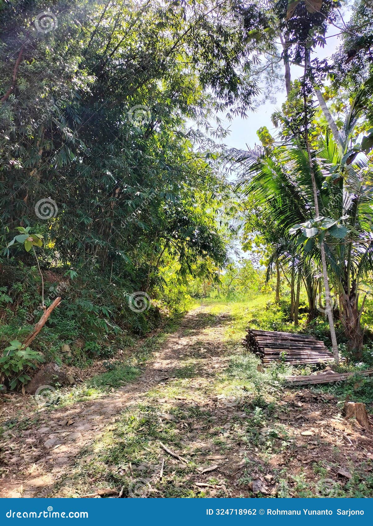 Original Rural Pathway in Central Java, Indonesia Stock Photo - Image ...