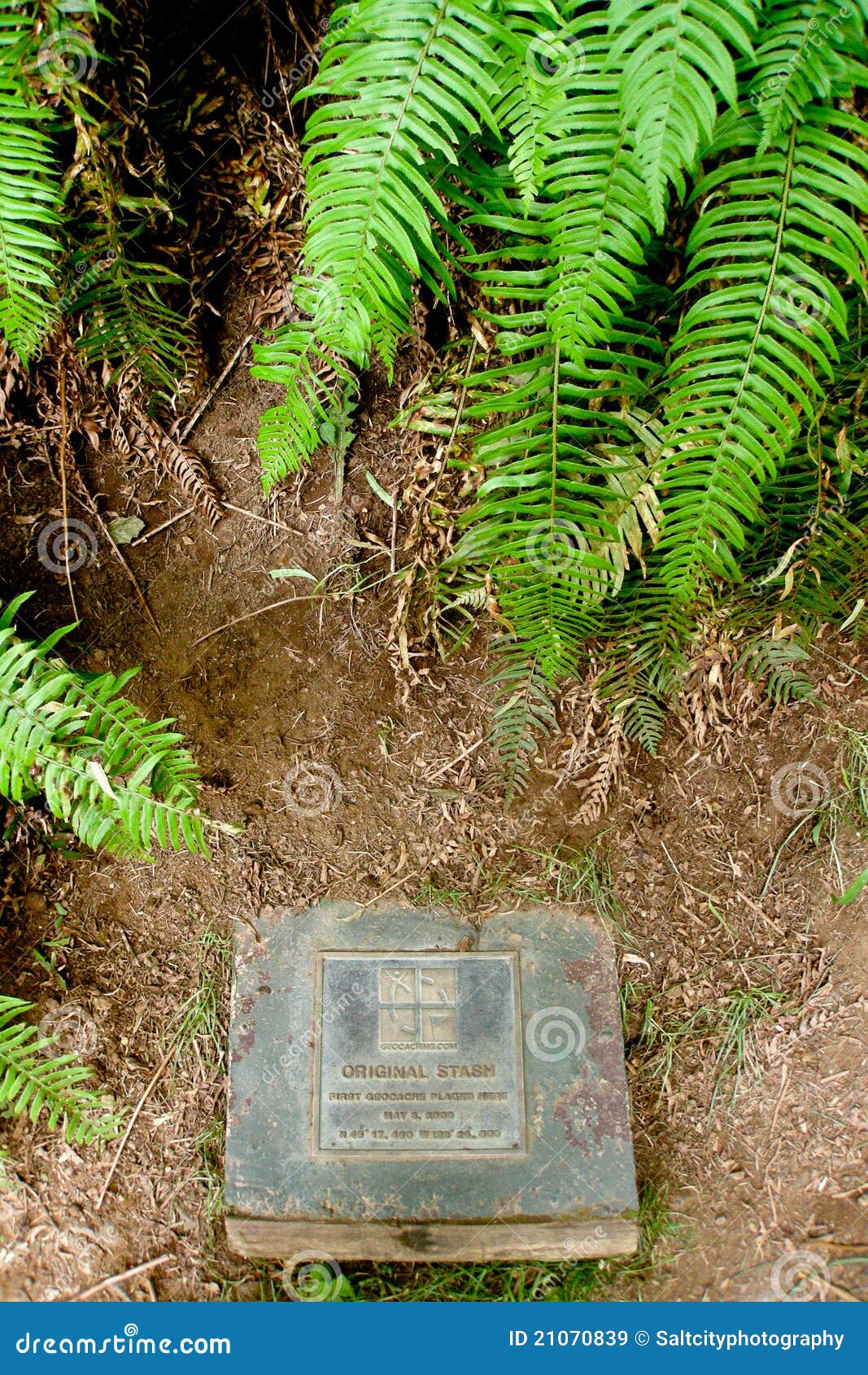 Original Stash Geocache Plaque Editorial Stock Image - Image of camo ...