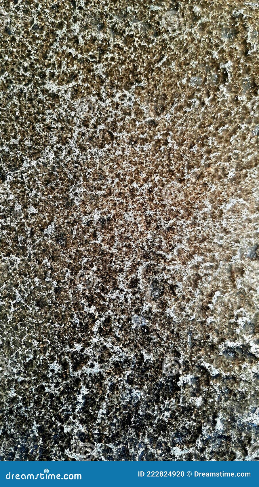 Original stone texture stock photo. Image of texture - 222824920