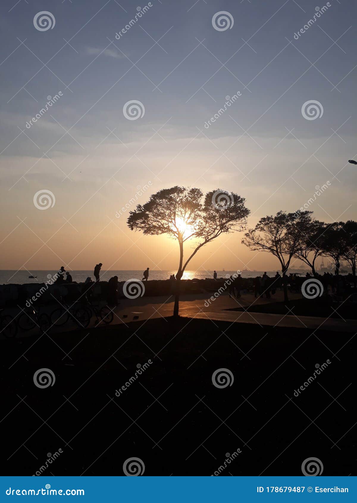 Original Sunset Behind Tree Stock Image - Image of istanbul ...