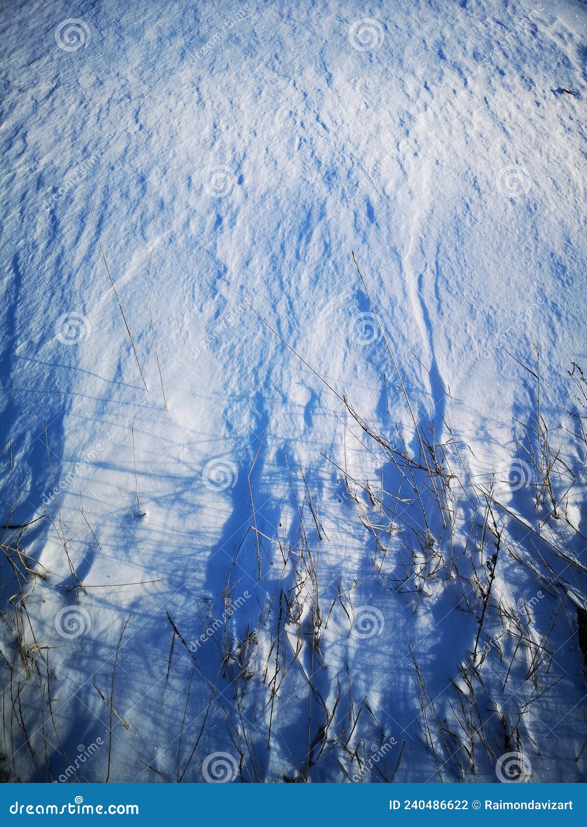 Original Textures of Snow, Branches, Soil Stock Photo - Image of ...