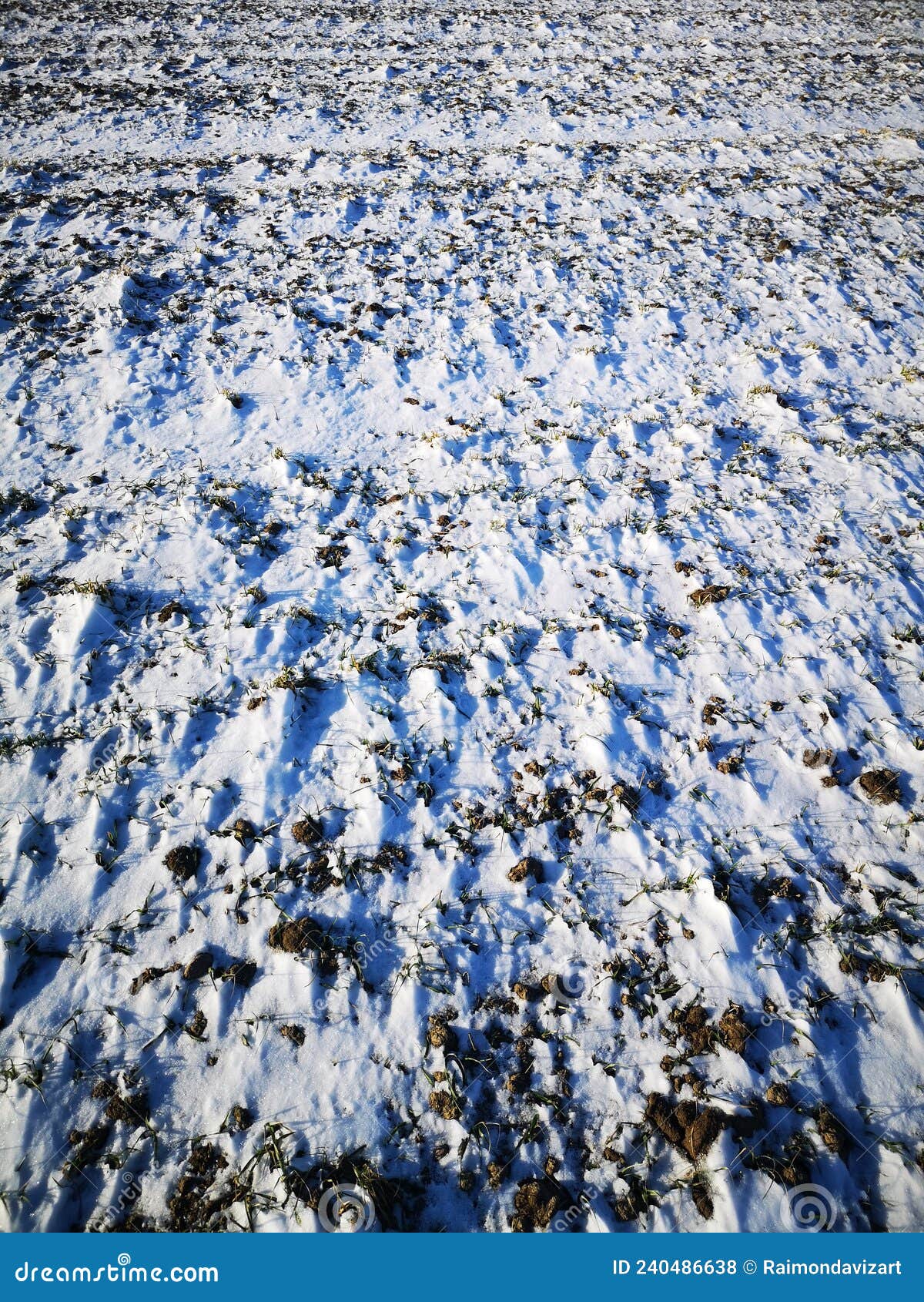 Original Textures of Snow, Branches, Soil Stock Photo - Image of ...