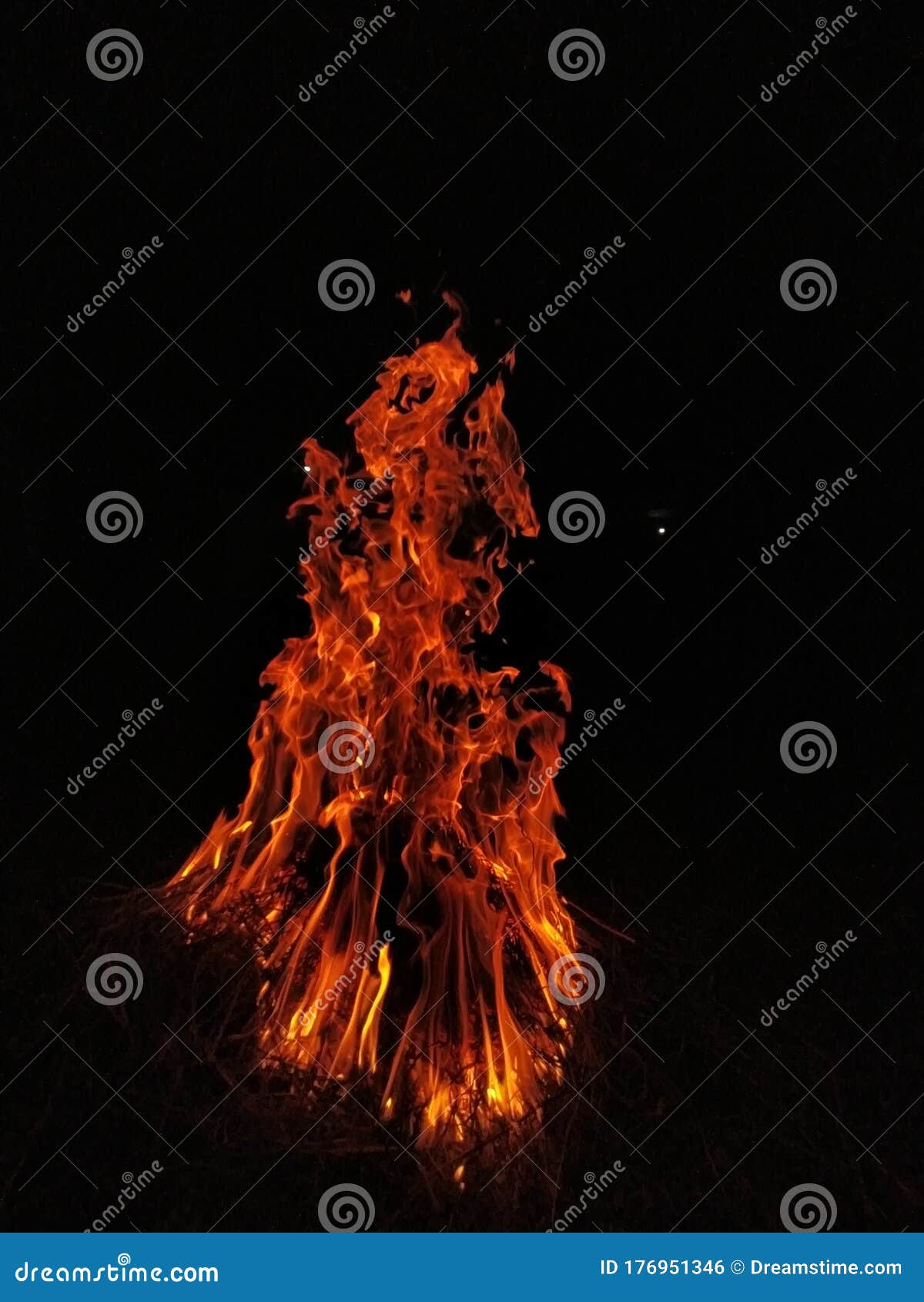 Originally stock photo. Image of artistic, nature, beauty - 176951346