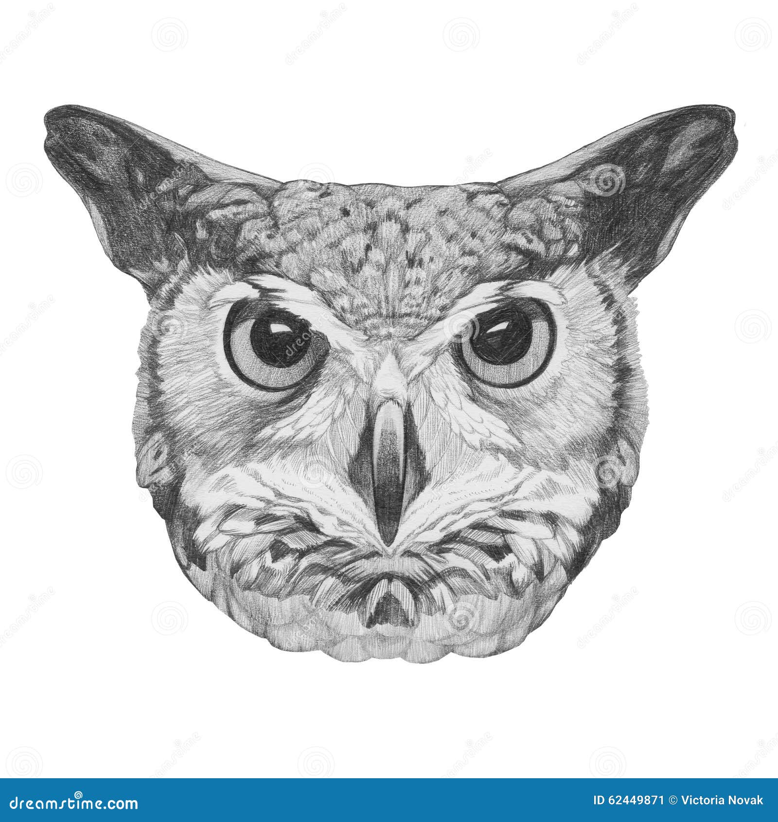 Originele tekening van Uil stock illustratie. Illustration of origineel ...