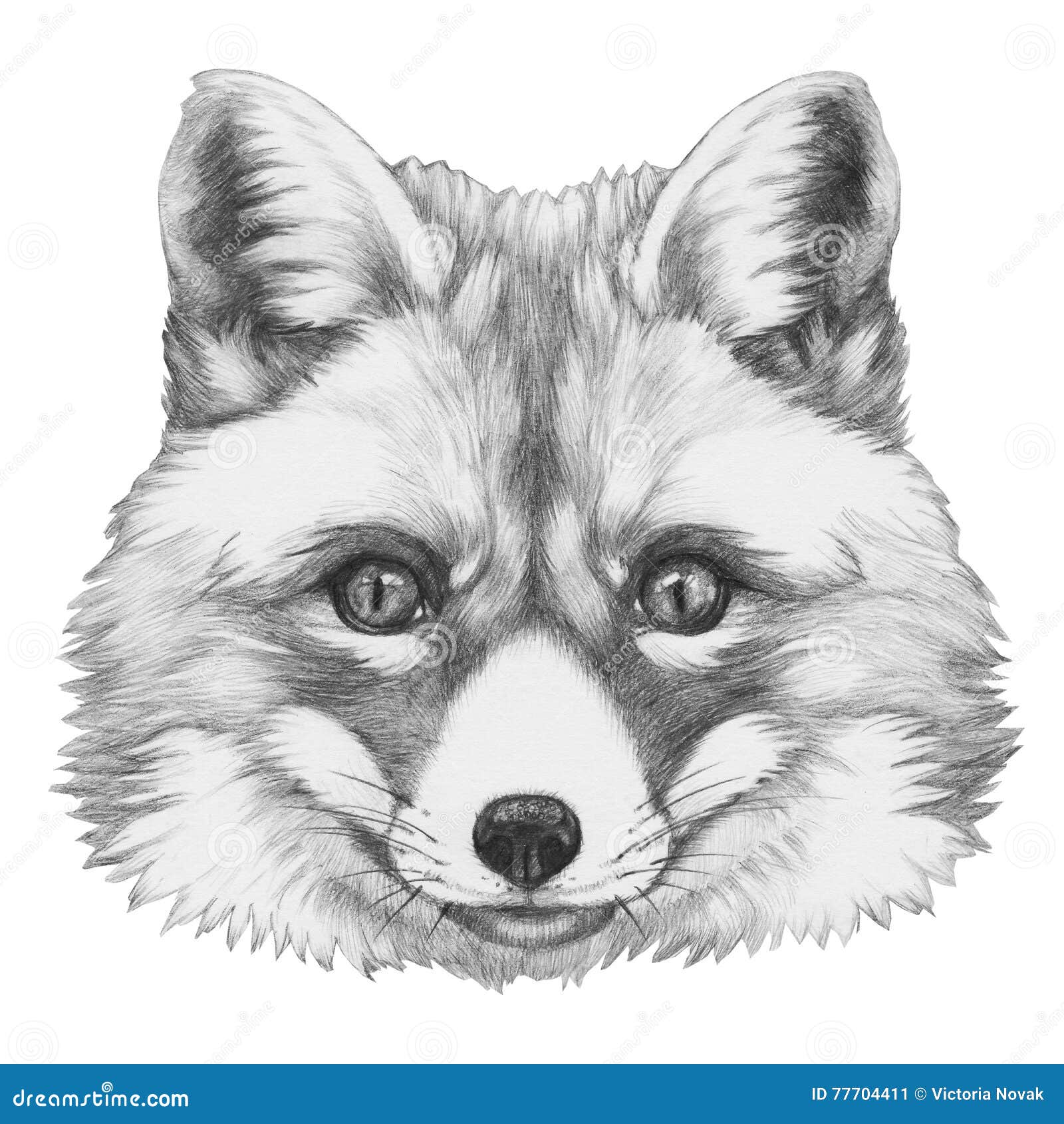 Originele tekening van Vos stock illustratie. Illustration of decoratie ...