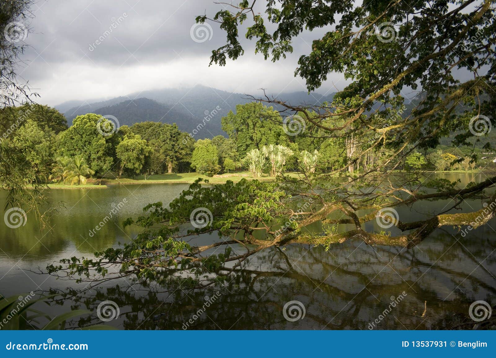Orilla del lago imagen de archivo. Imagen de hermoso - 13537931