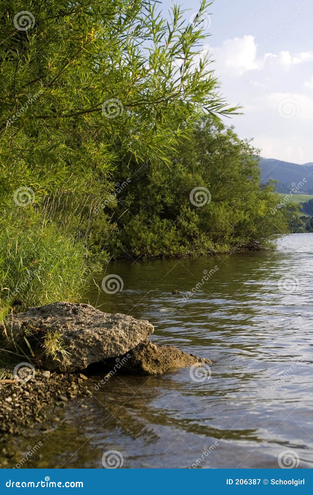 Orilla del lago imagen de archivo. Imagen de azul, cielo - 206387