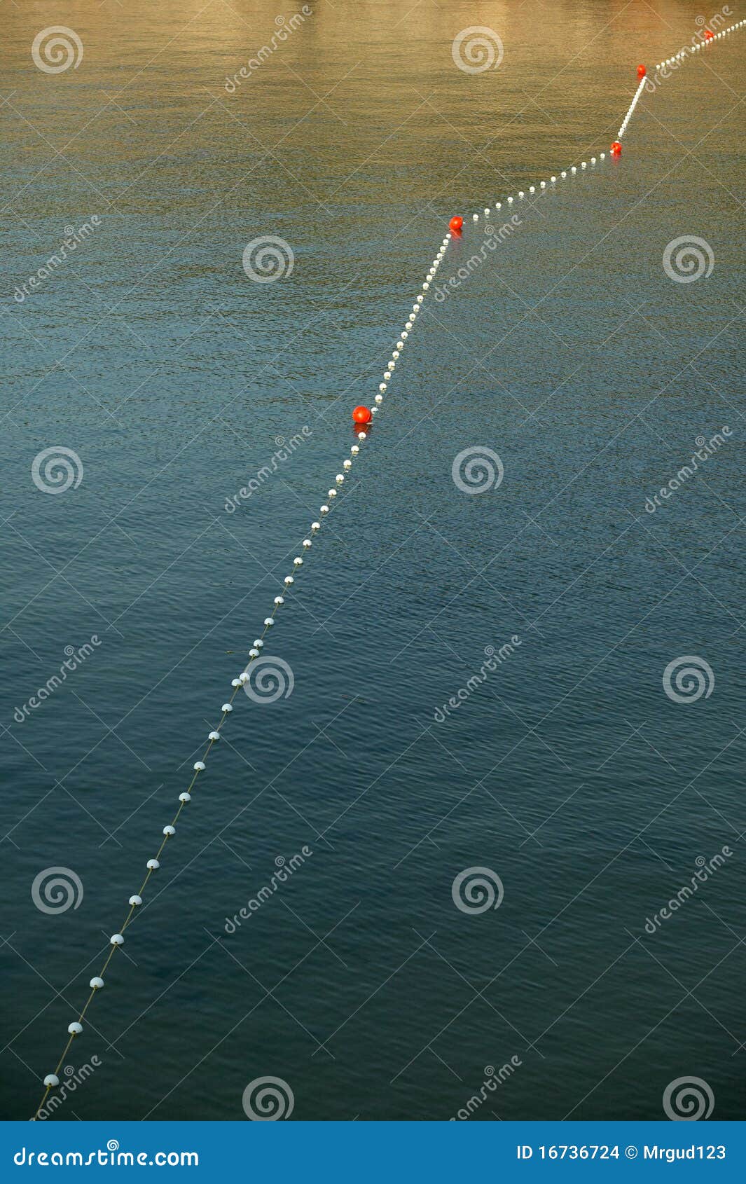 Orin photo stock. Image du bouées, bouée, personne, beau - 16736724