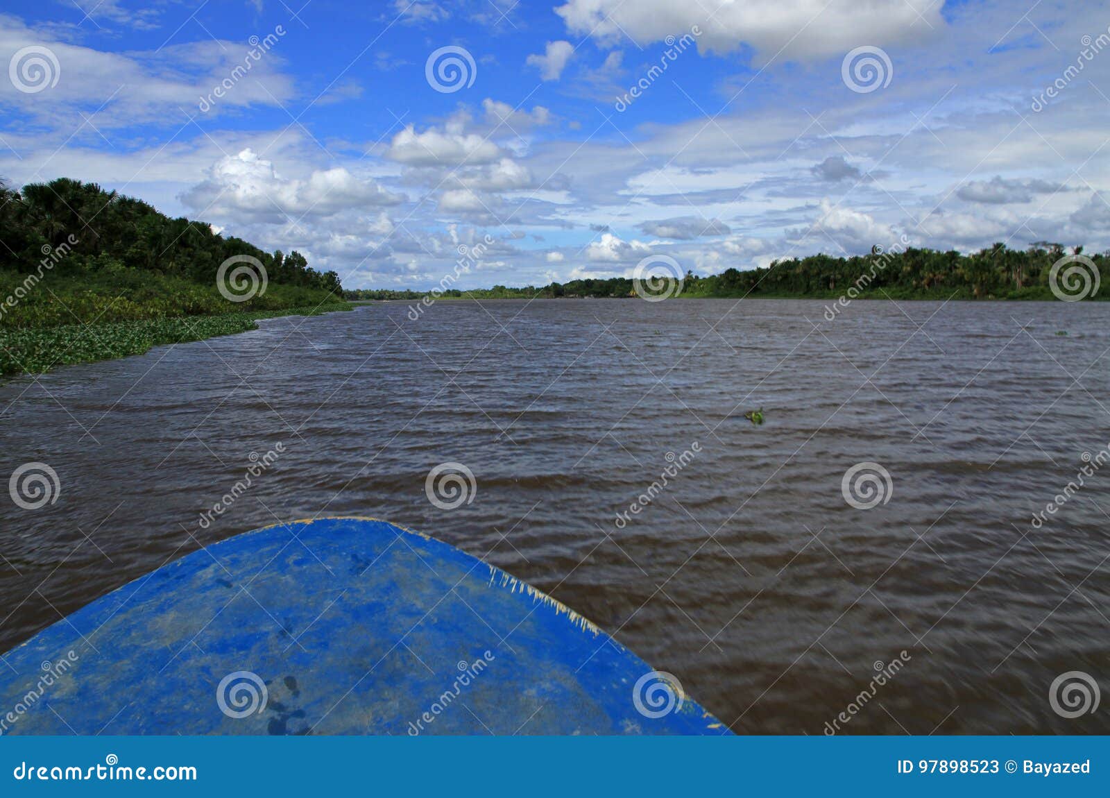 Orinoco River stock image. Image of bank, loch, tide - 97898523