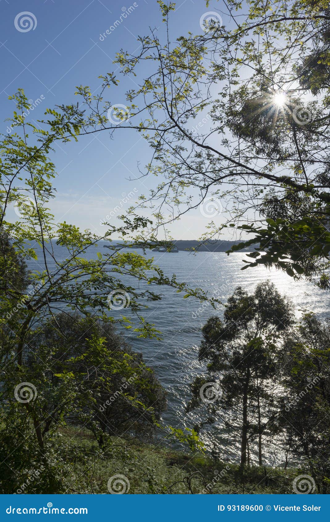 The Orion Beach from Sonabia Stock Photo - Image of nature, natural ...