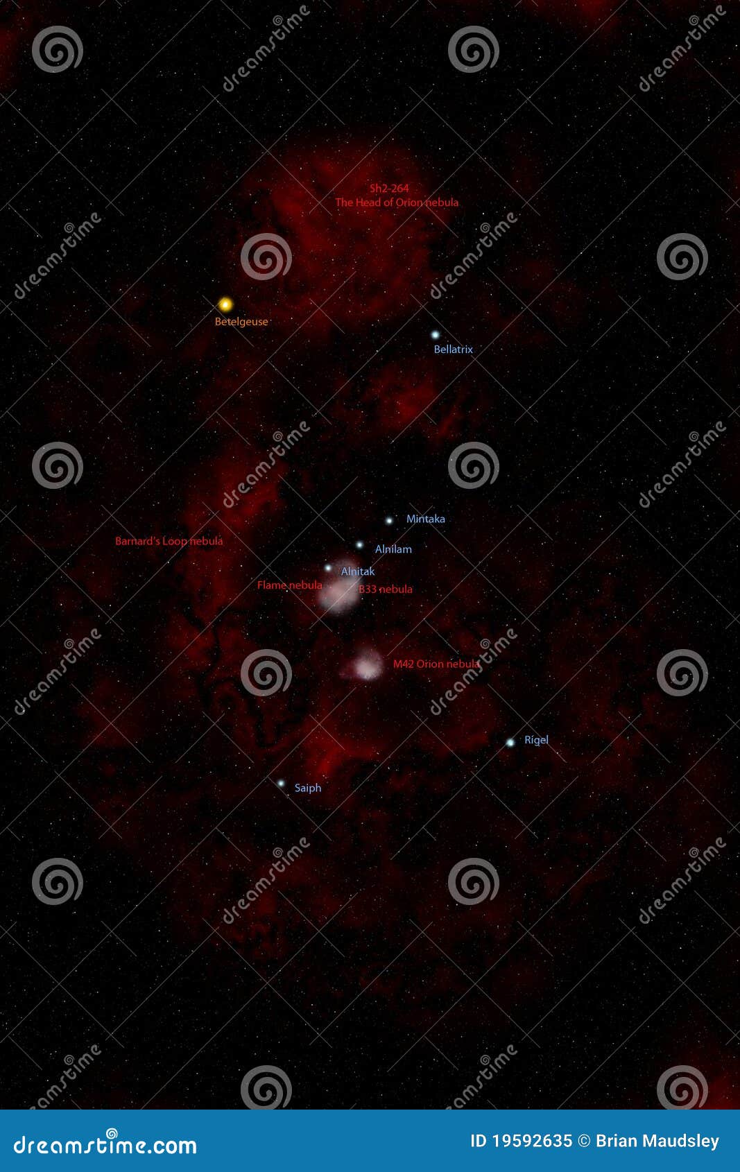 Orion Constellation, Labelled Artist Impression. Stock Illustration ...