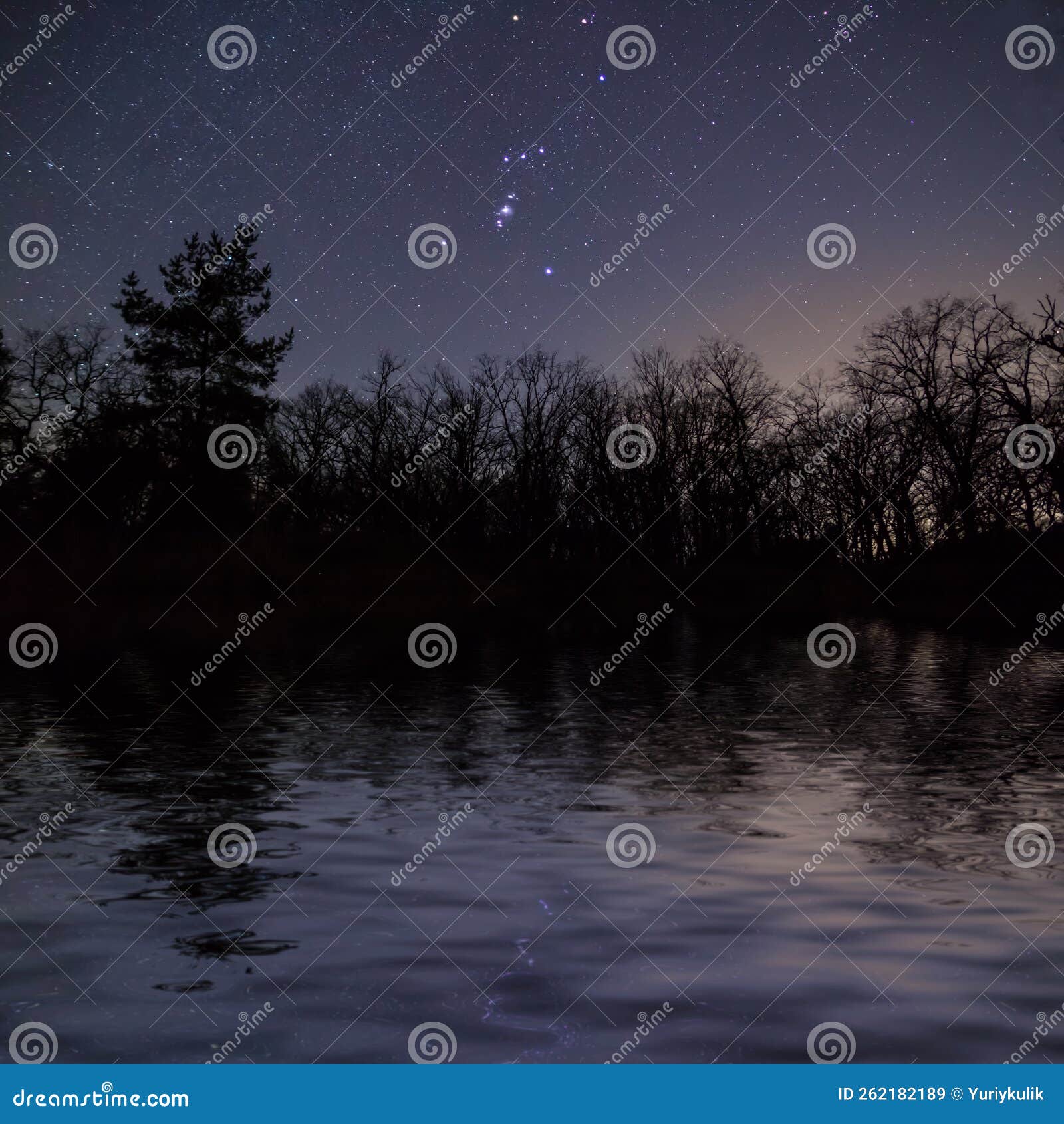 Orion Constellation Rising Above Forest Reflected in Water Stock Image ...