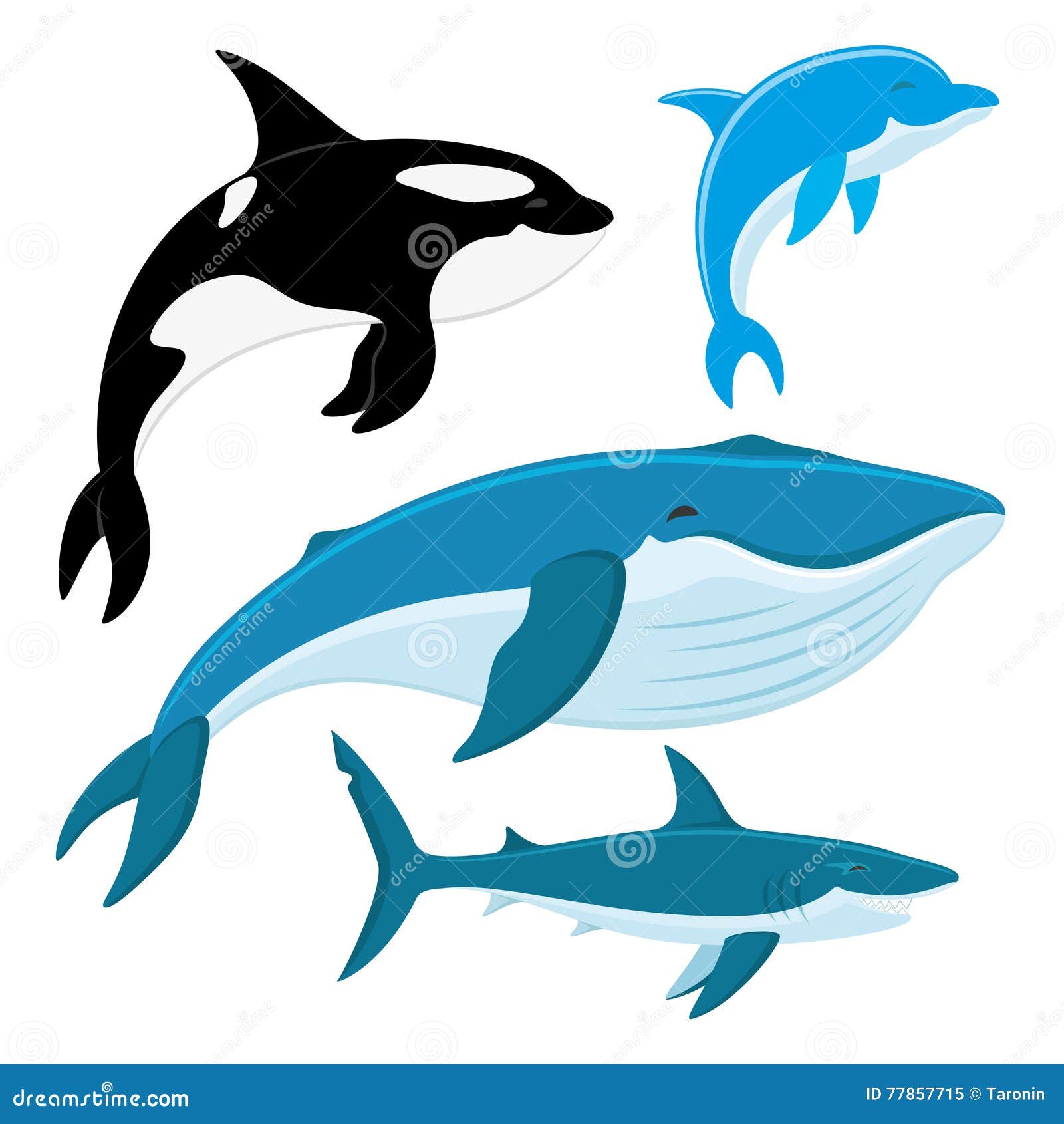Orka, Dolfijn, Walvis, Haai Vector Illustratie - Illustration of ...