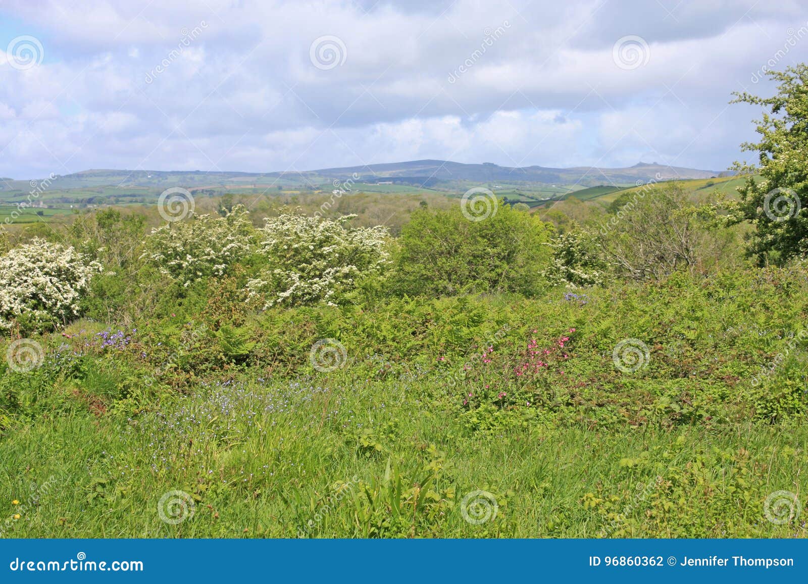 Orley Common Stock Photos - Free & Royalty-Free Stock Photos from ...