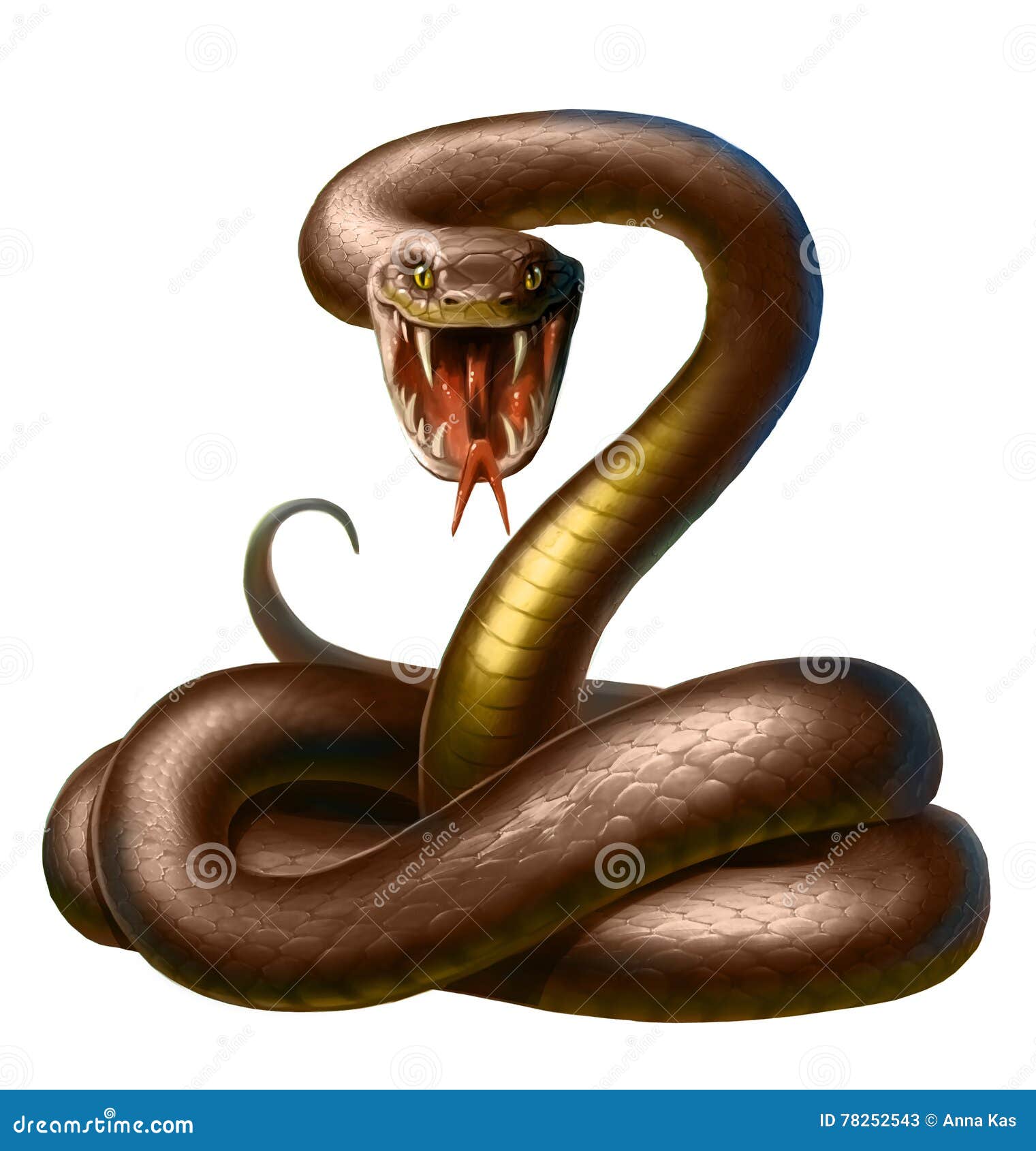 Orm fotografering för bildbyråer. Bild av fara, reptil - 78252543