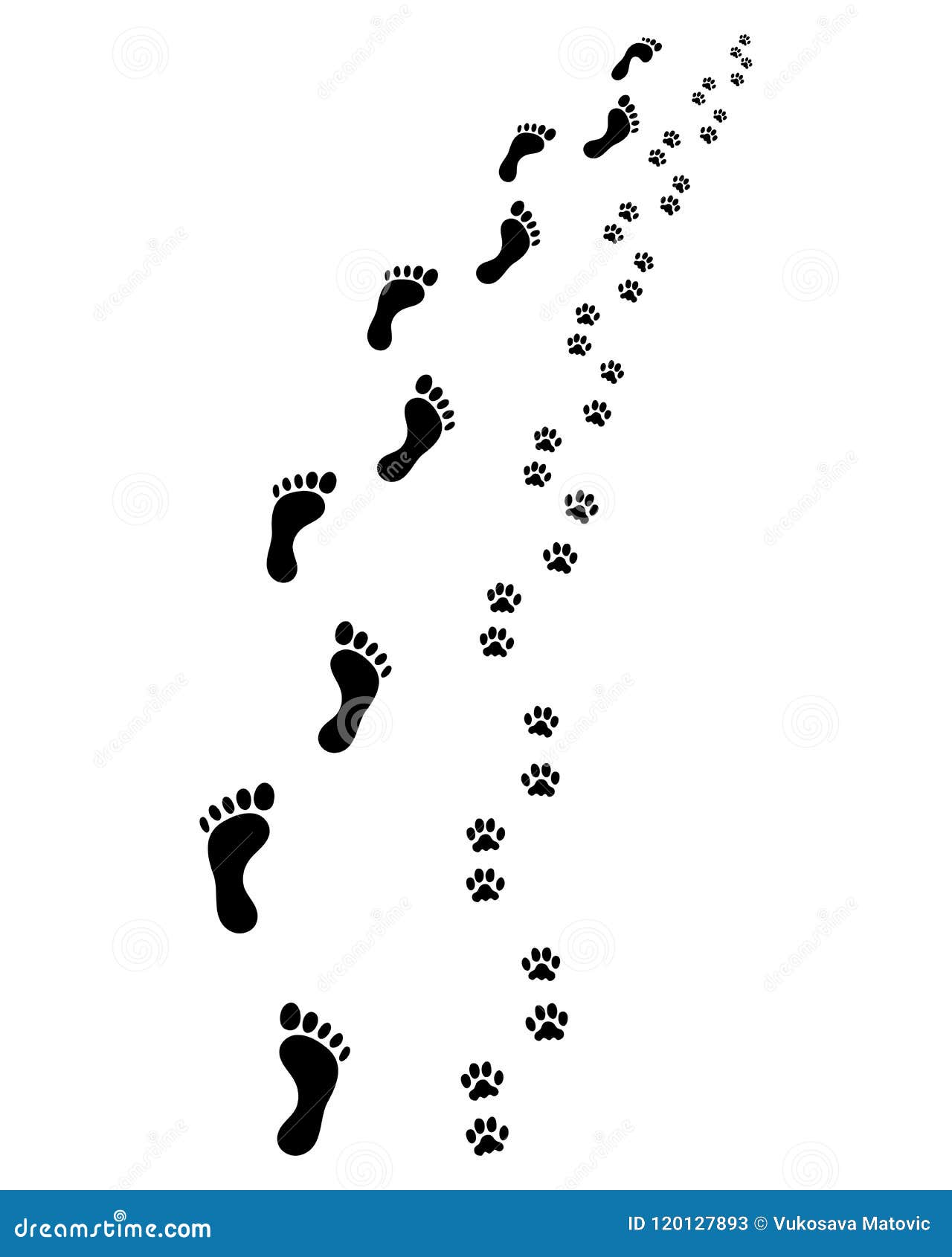 Orme dell'uomo e del cane illustrazione di stock. Illustrazione di ...