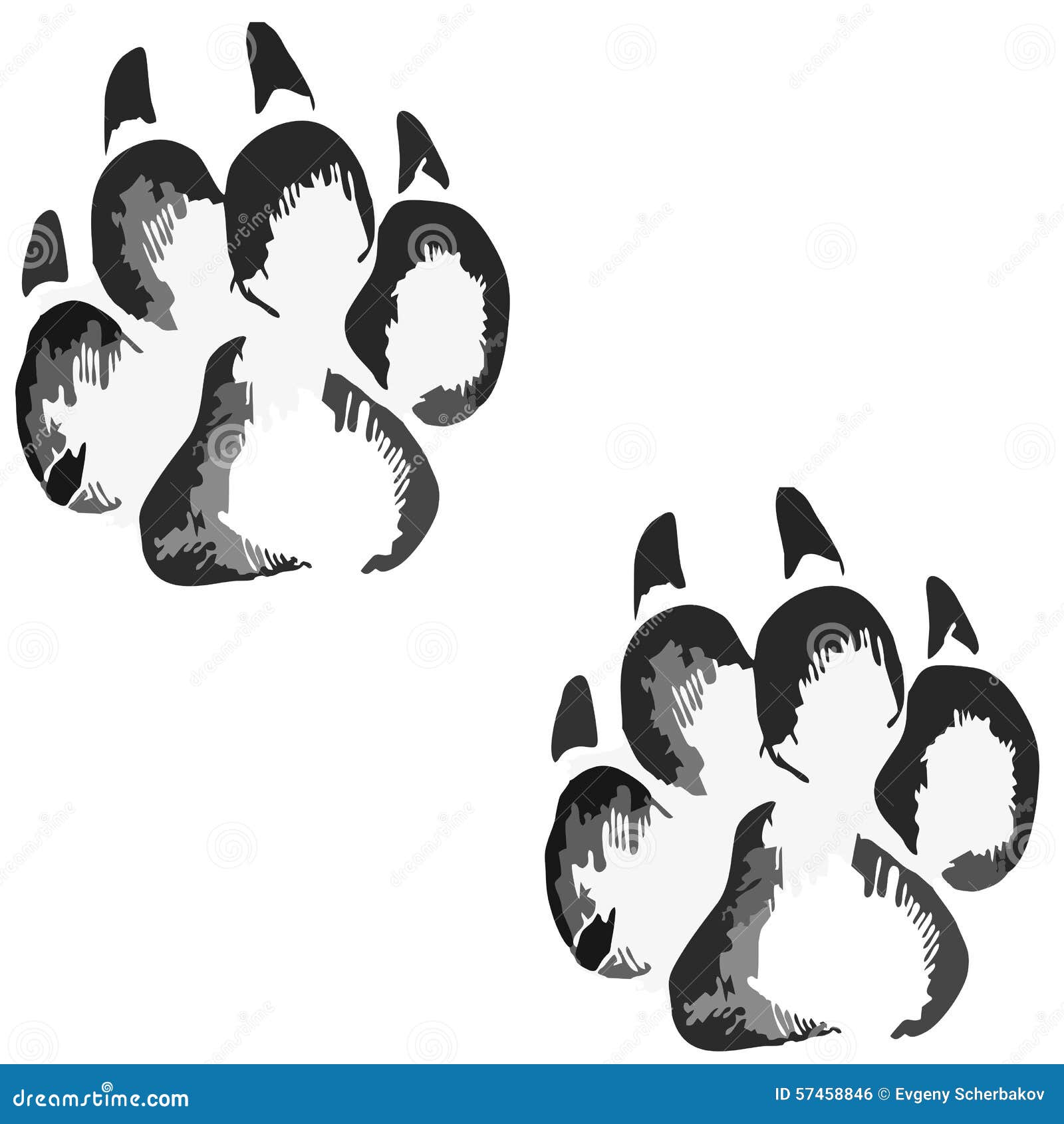 Orme Di Grande Cane O Gatto Illustrazione Vettoriale - Illustrazione di ...