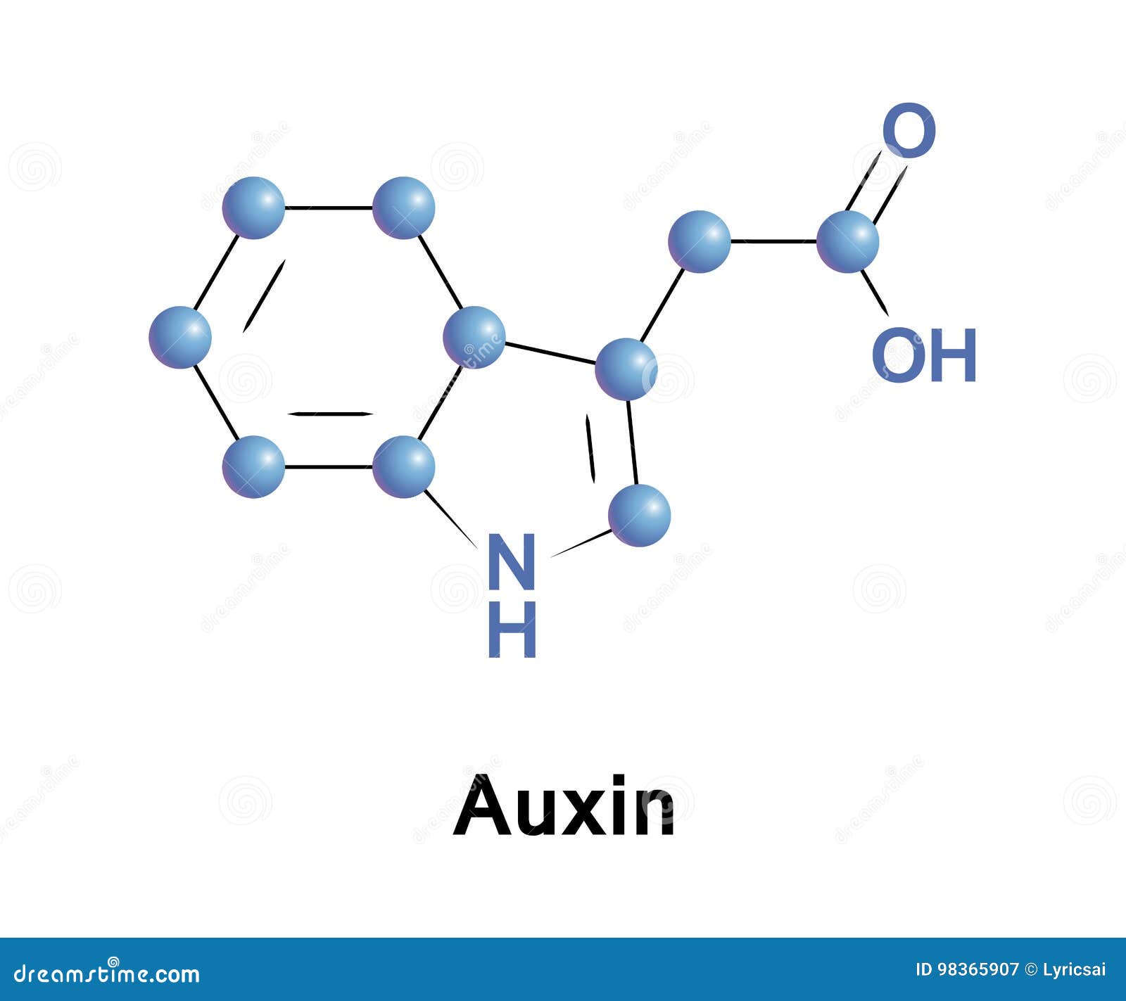 Ormoni Vegetali Delle Auxine Illustrazione Vettoriale - Illustrazione ...