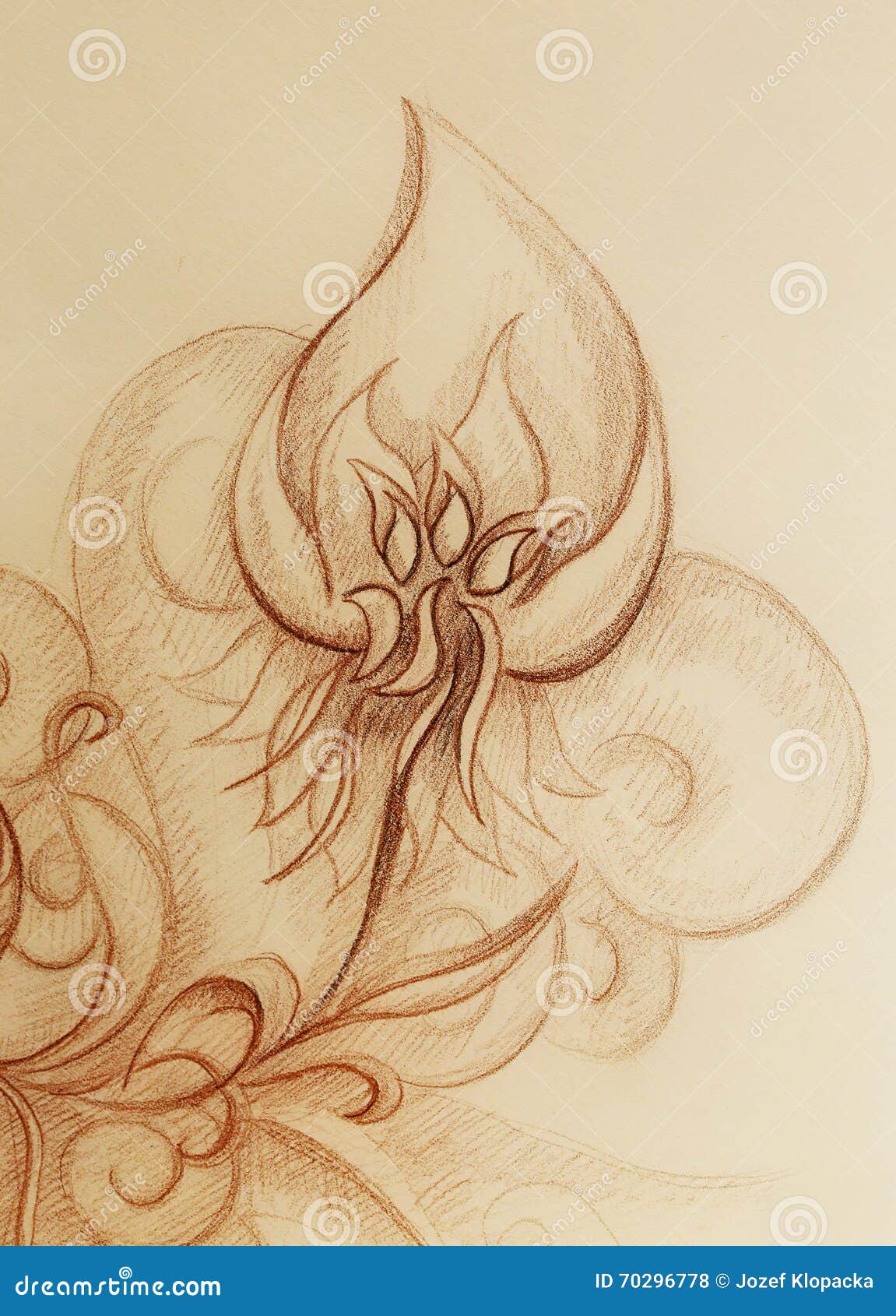 Ornamental Filigran Drawing on Paper with Spirals, Flower Petals and ...
