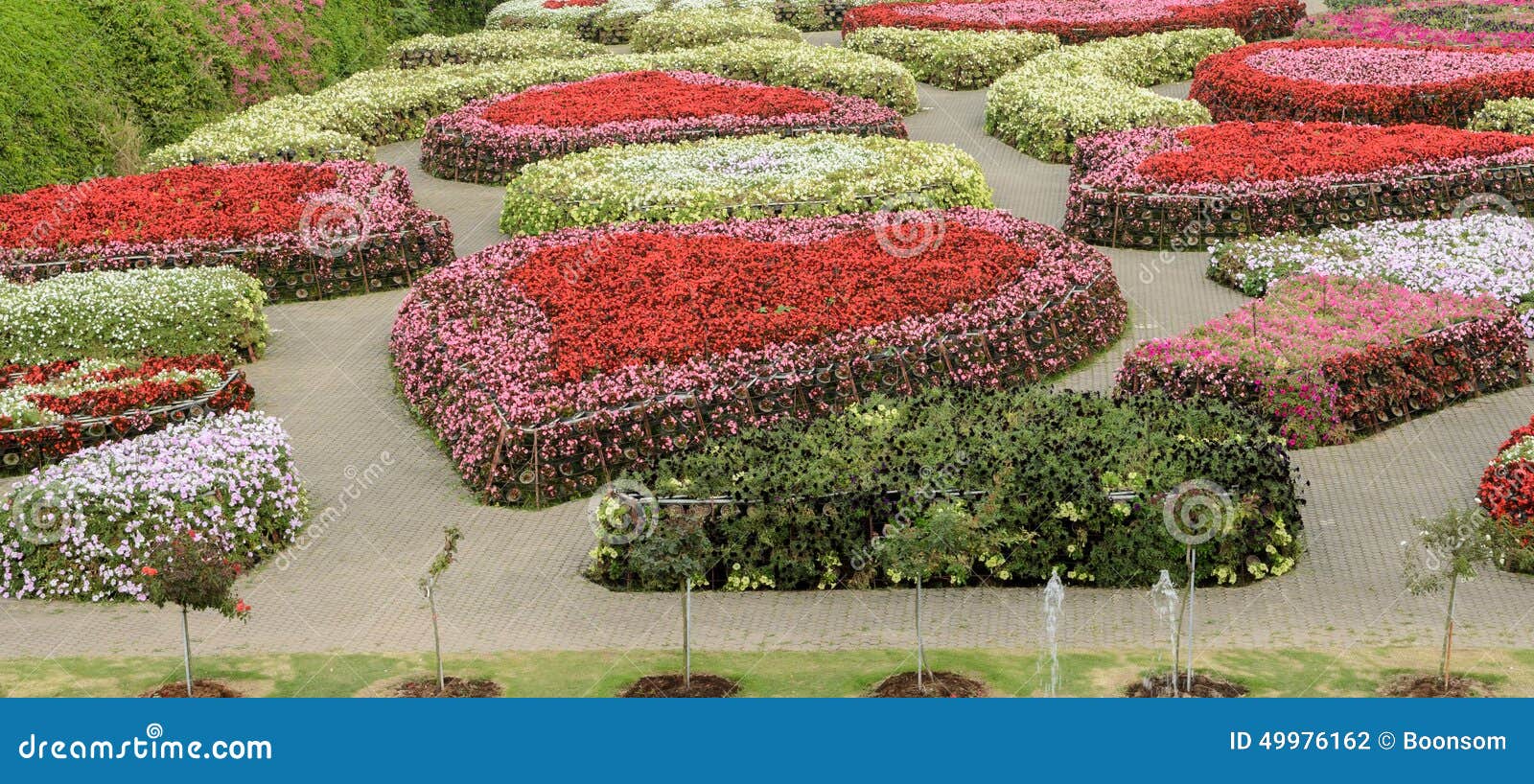 Ornamental flower garden stock photo. Image of thailand - 49976162