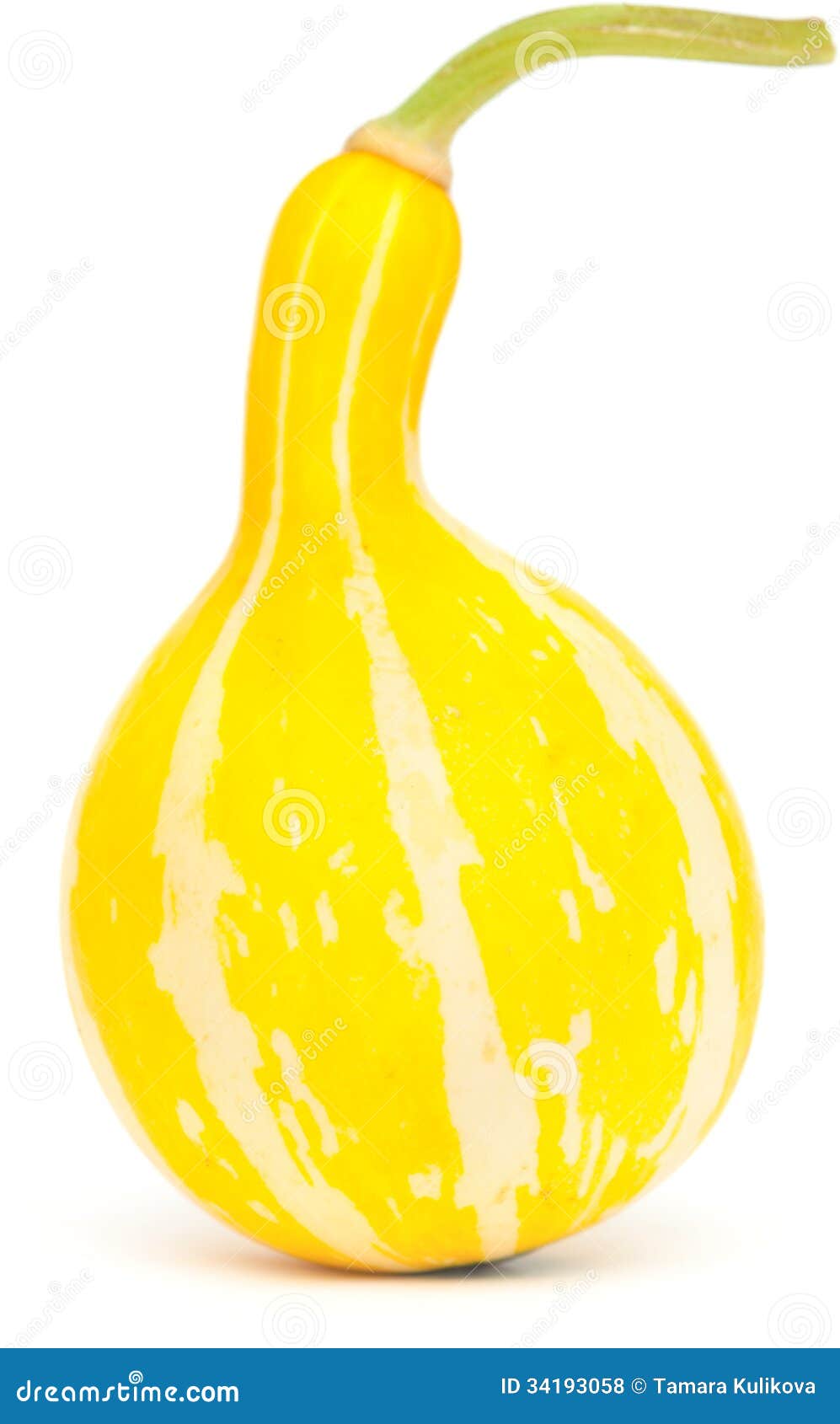 Ornamental gourd stock photo. Image of cucurbita, plants - 34193058