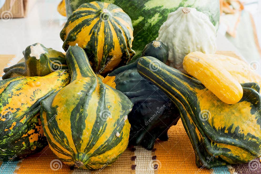Ornamental Gourds on the Kitchen Table Stock Image - Image of ...