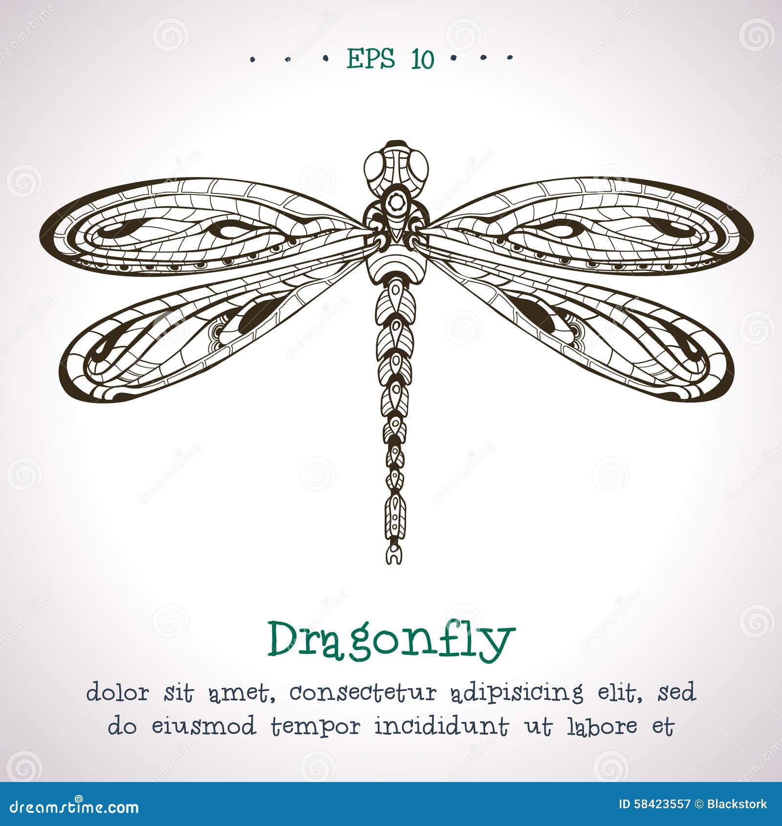 Vector Of Dragonfly Design On White Background, Dragonfly Icon Logo ...