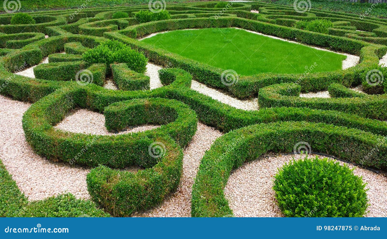 Ornamental Hedges in the Park Stock Image - Image of shapes, alley ...