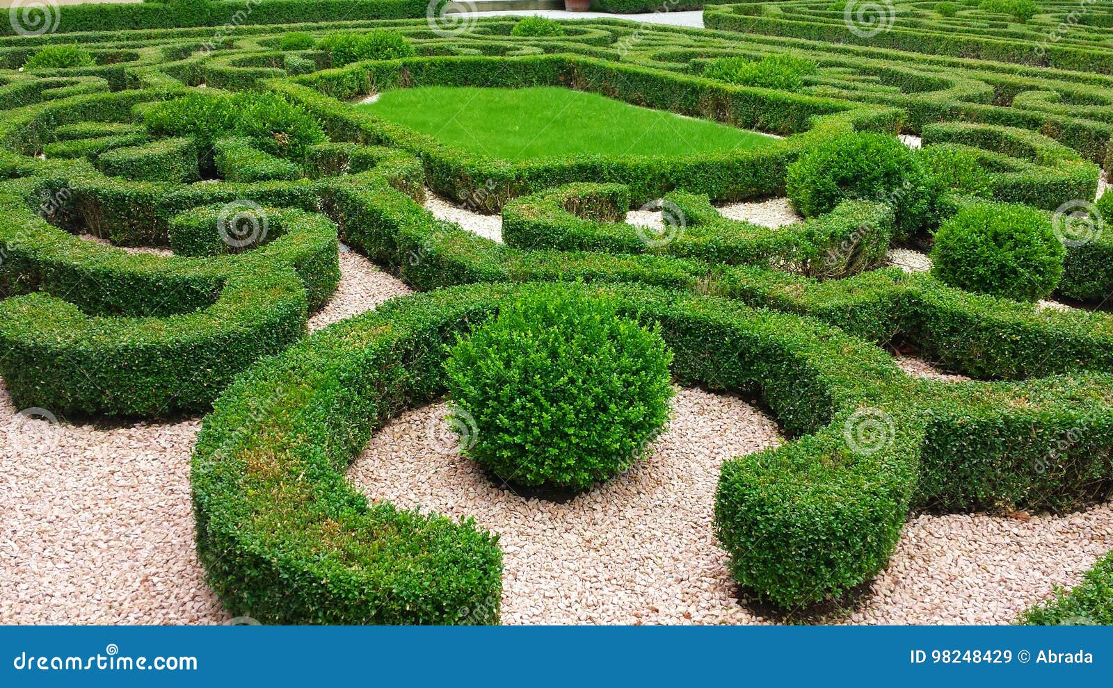 Ornamental Hedges in the Park Stock Image - Image of nature, oliwa ...