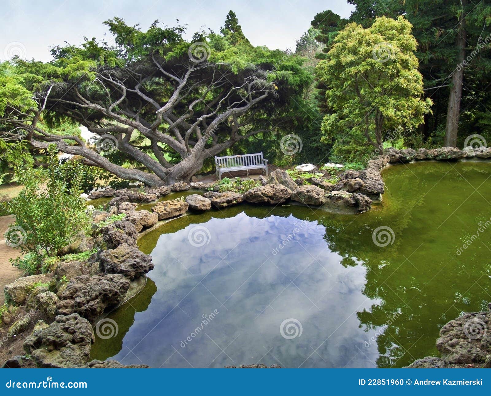 Ornamental Pond View stock photo. Image of park, stone - 22851960