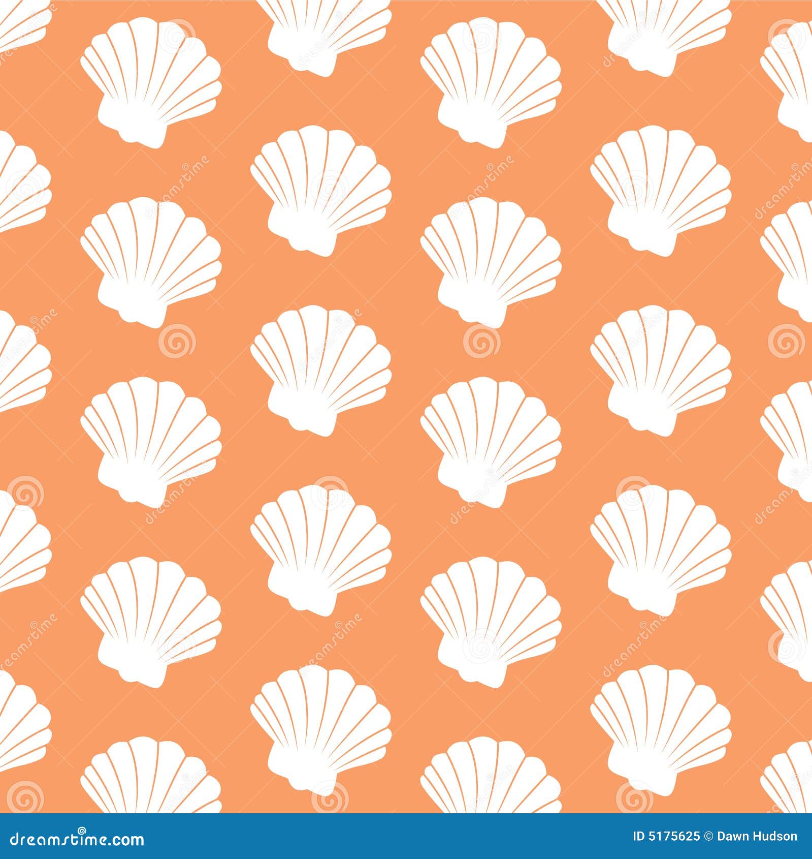 Ornamental shell stock illustration. Illustration of design - 5175625