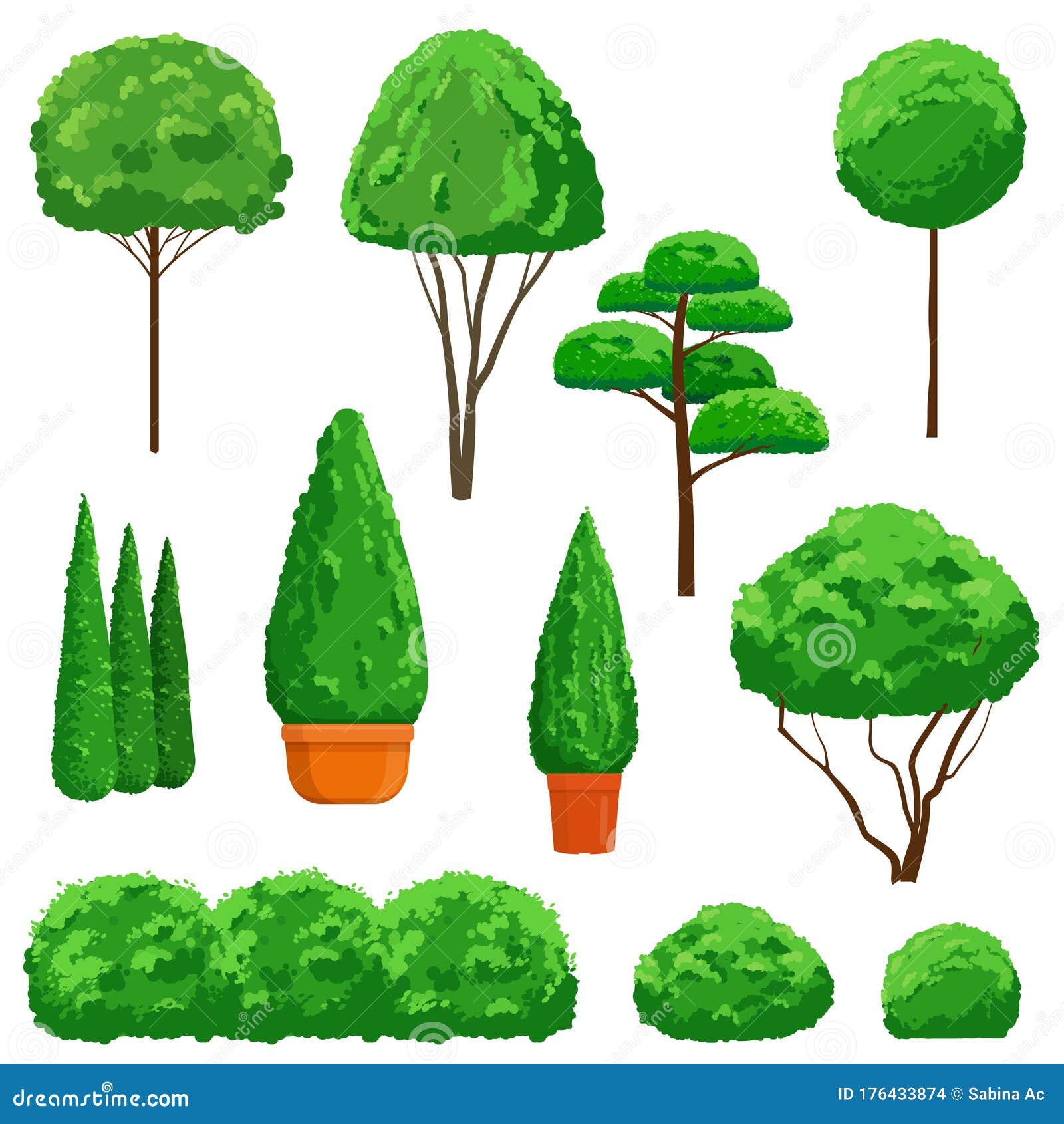 Ornamental Shrubs And Trees On Whitebackground Vector Illustration ...