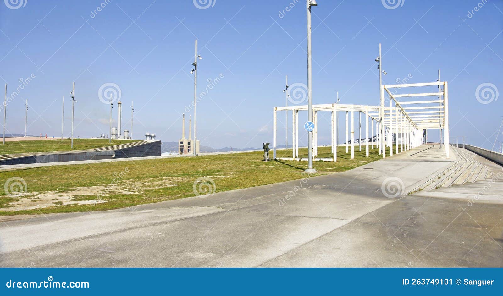 Ornamental Structures in Parallel and with Perspective in the Parc ...