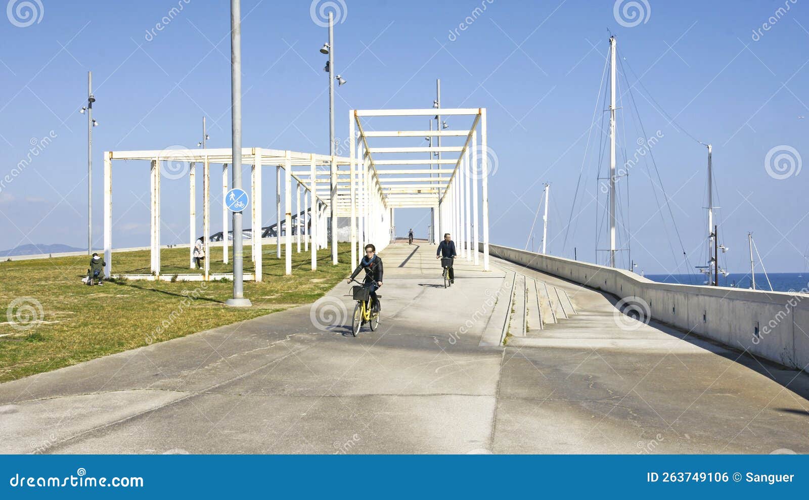 Ornamental Structures in Parallel and with Perspective in the Parc ...