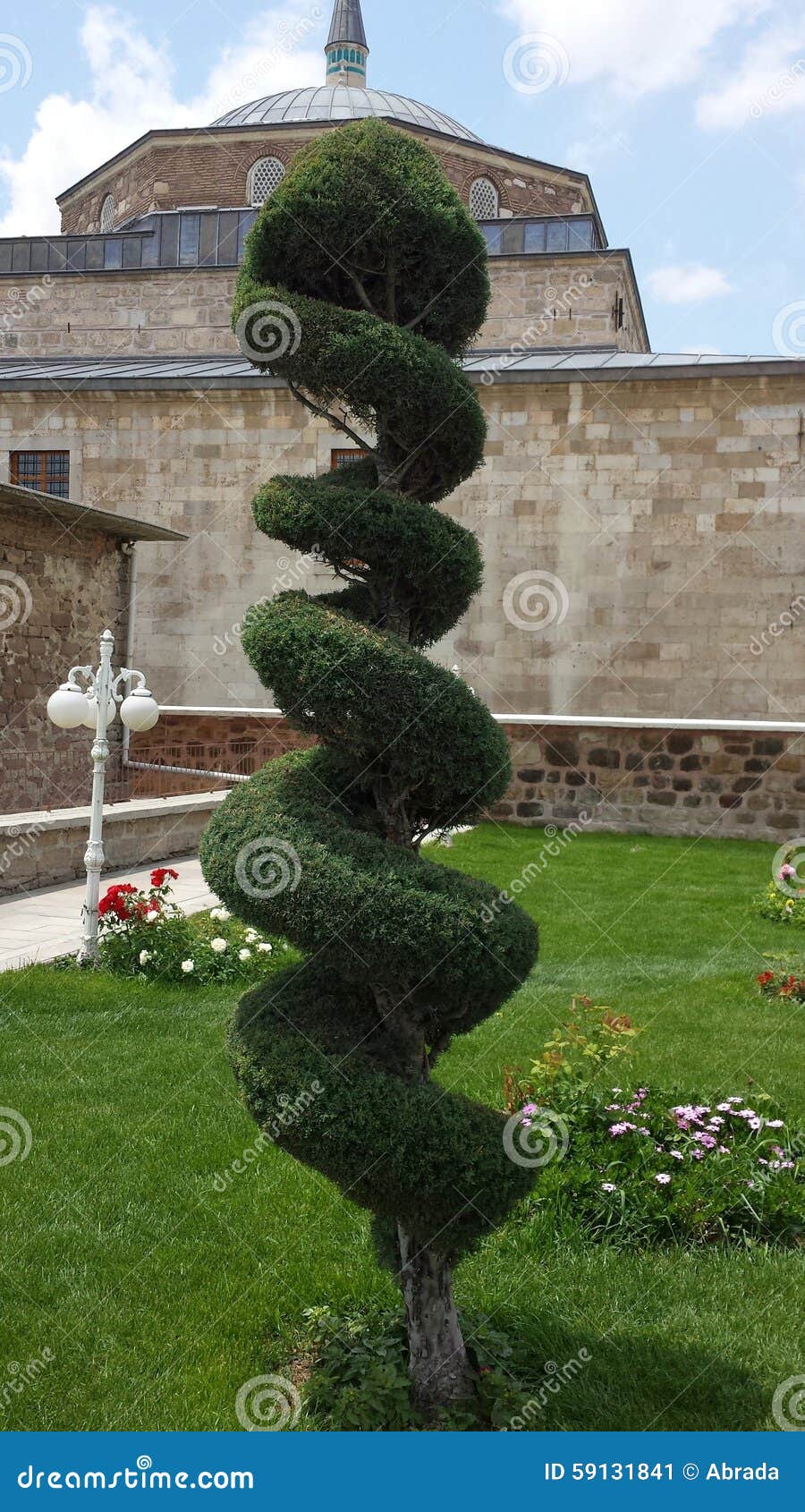 Ornamental tree stock image. Image of leaves, decoration - 59131841