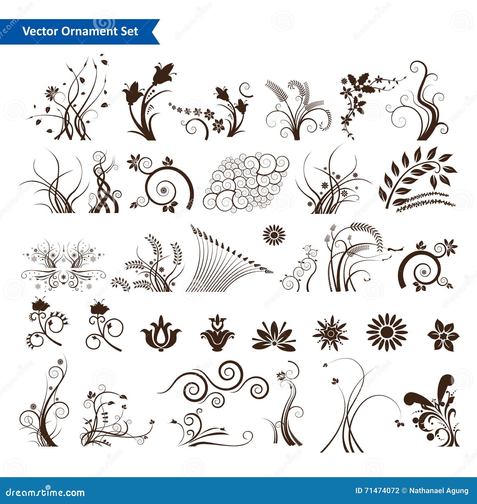 Ornaments Vector Illustration Stock Vector - Illustration of flourish ...