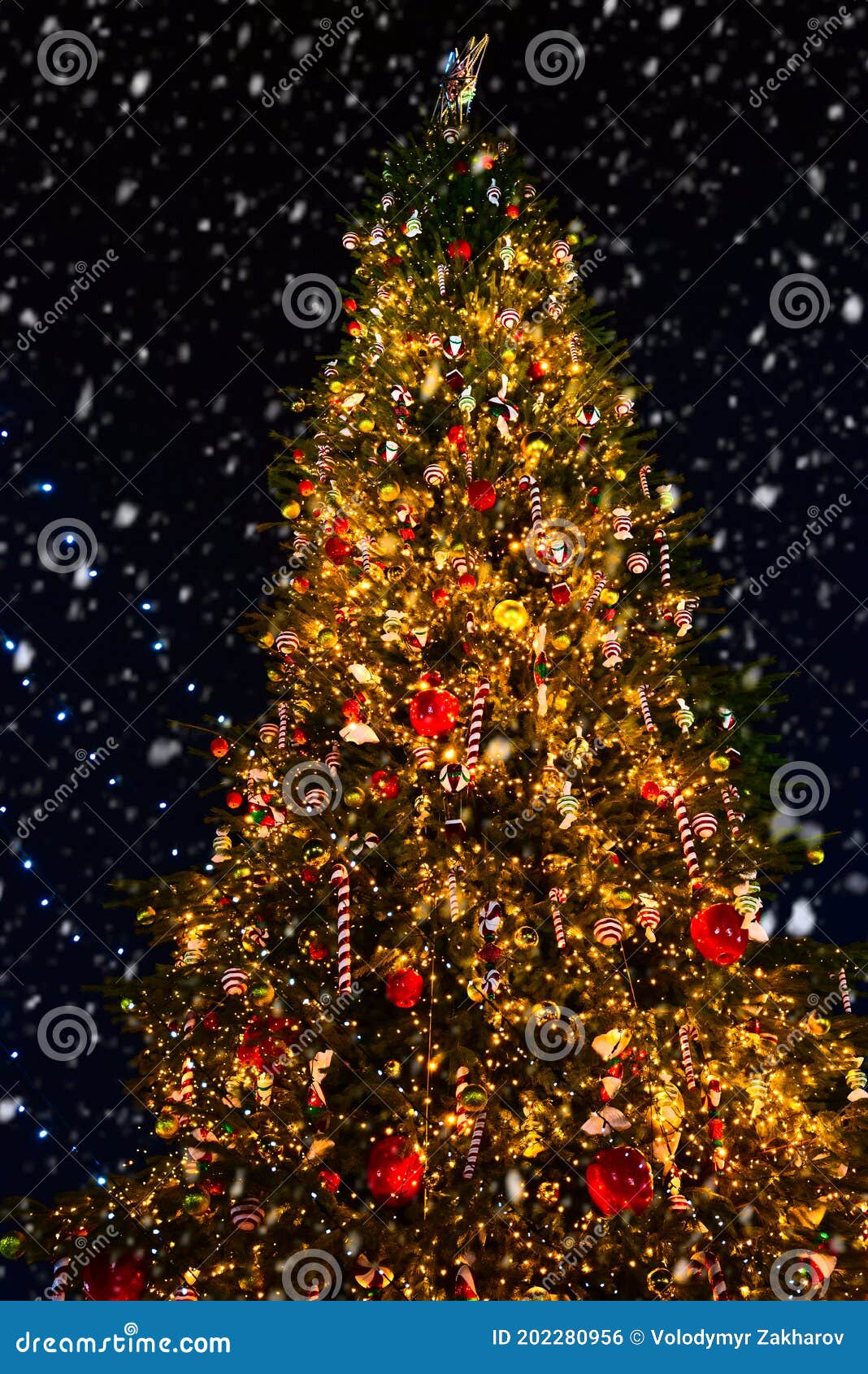 Ornate Christmas Tree at Night Outdoors. National Christmas Tree Stock ...