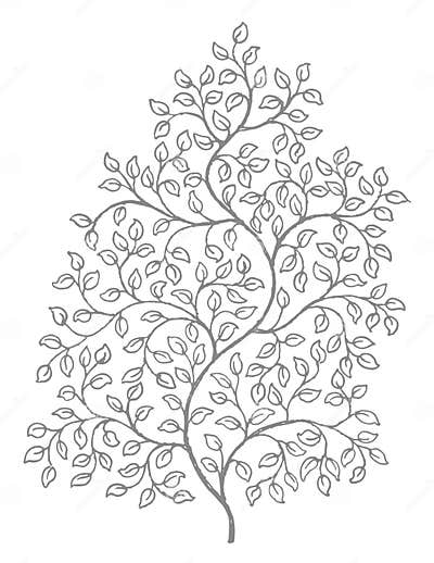 Ornate, Elegant Curly Vines Illustration Stock Vector - Illustration of ...