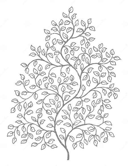 Ornate, Elegant Curly Vines Illustration Stock Vector - Illustration of ...