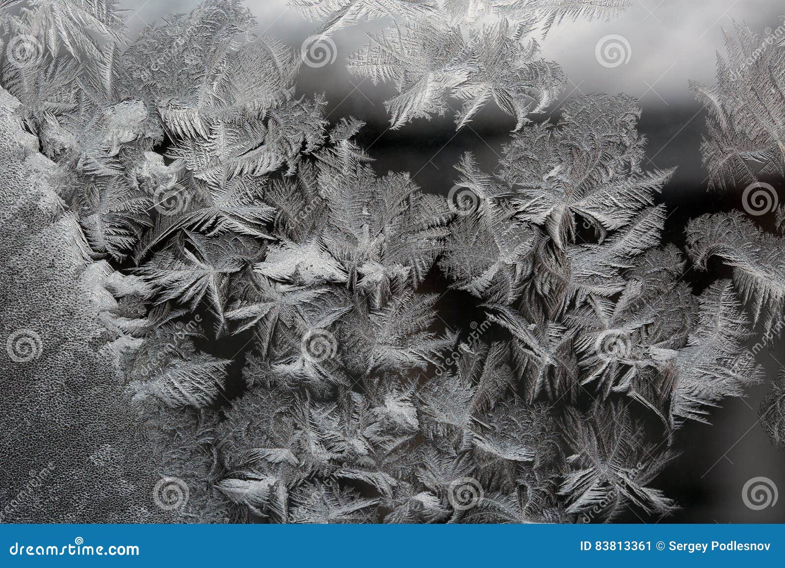 Ornate Frosty Patterns on Glass Stock Image - Image of macro, pattern ...