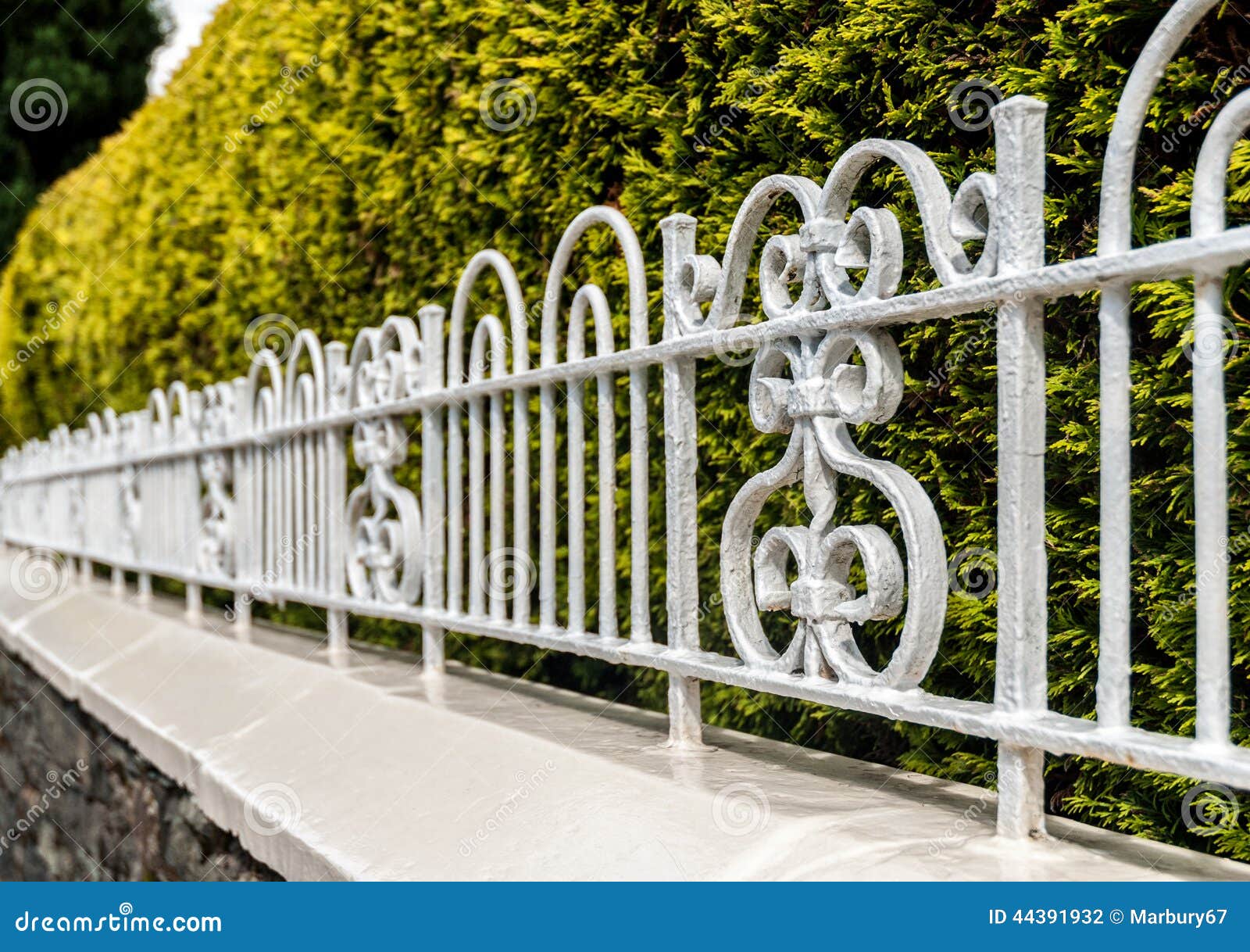 Ornate Garden Railings stock photo. Image of style, elegant - 44391932