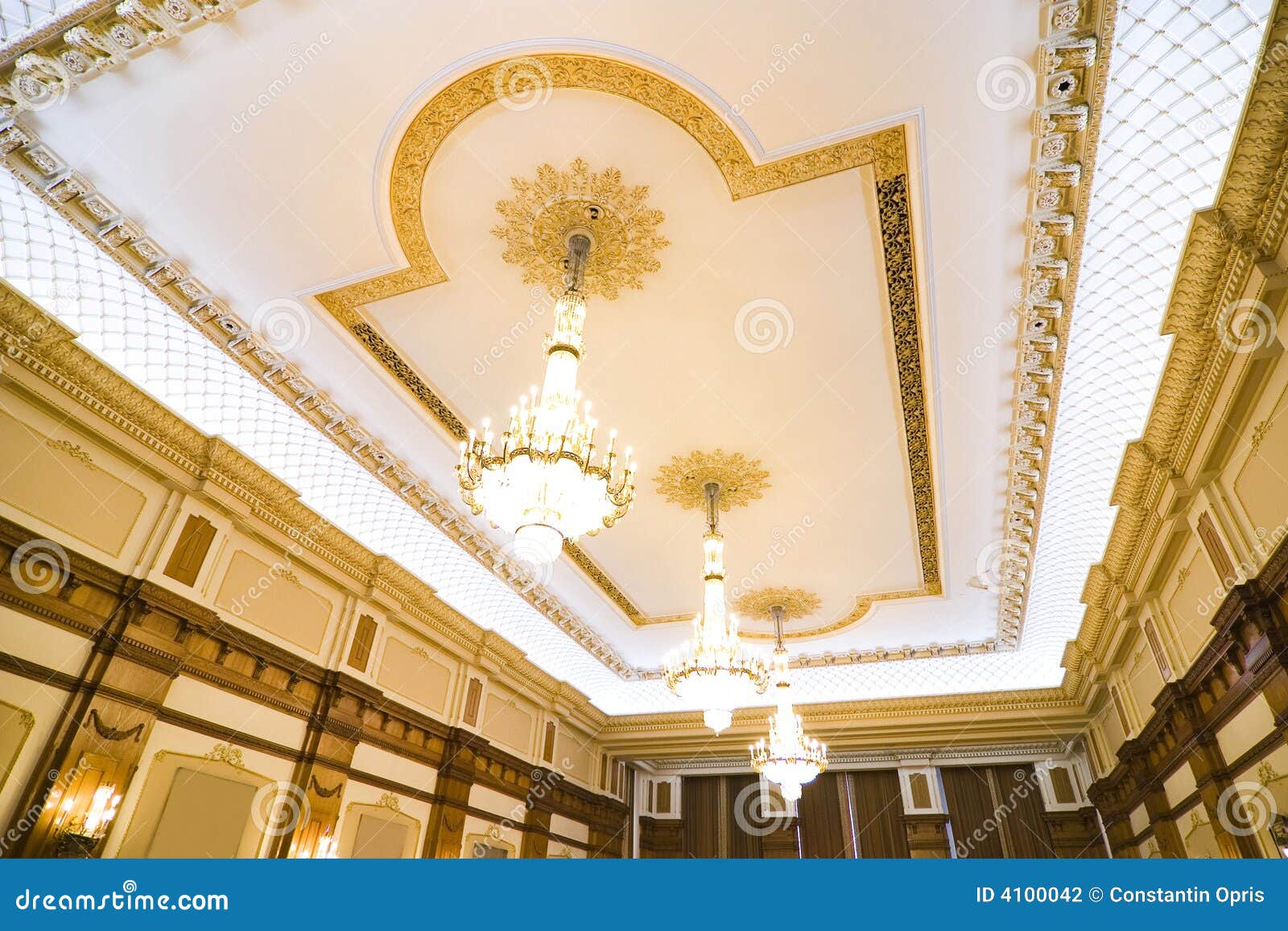 Ornate Ceiling Designs